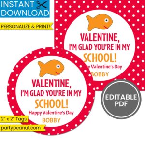 Valentine I'm Glad You're In My School Tags - Party Peanut
